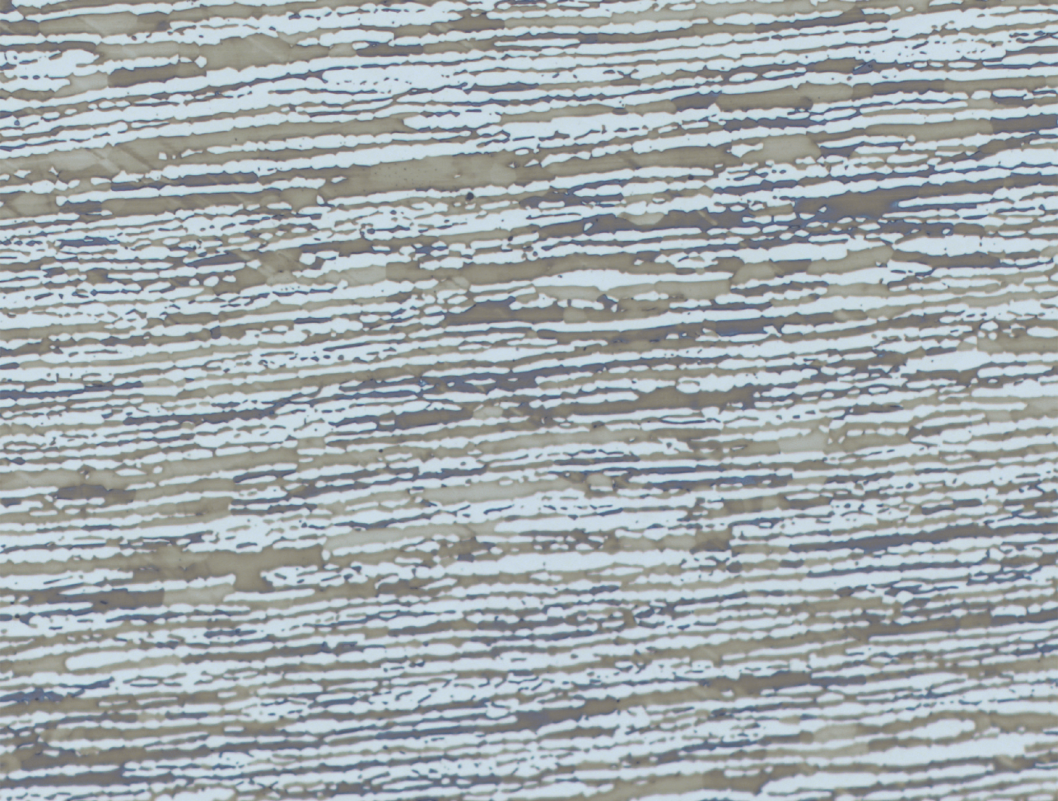 Clemex Studio – Einfache Segmentierung