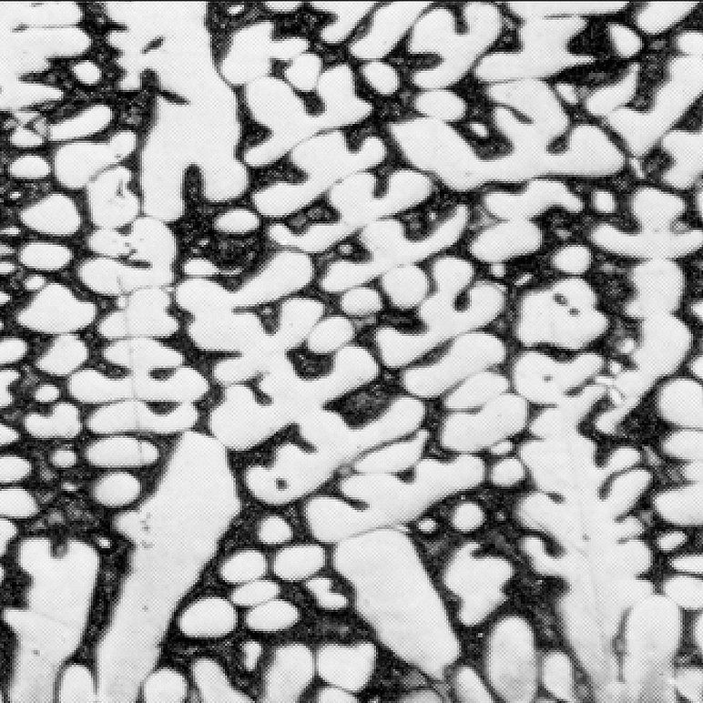 Dendritenarmabstände in einer Kupfer-Blei-Legierung – Clemex