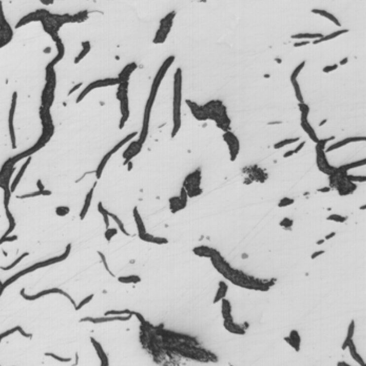 Taille des lamelles de graphite conformément aux normes ASTM A247 et ...