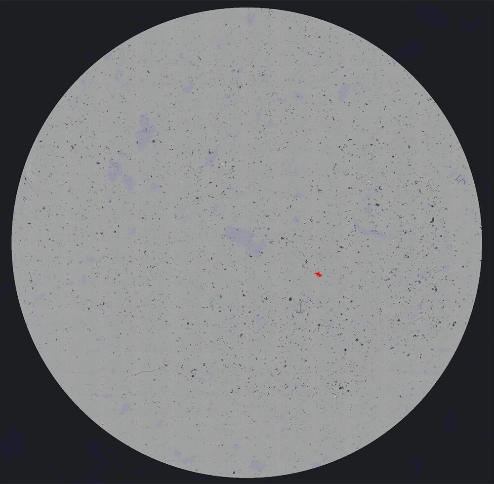 Analyse des contaminants conformément à la norme ISO 16232 – Clemex