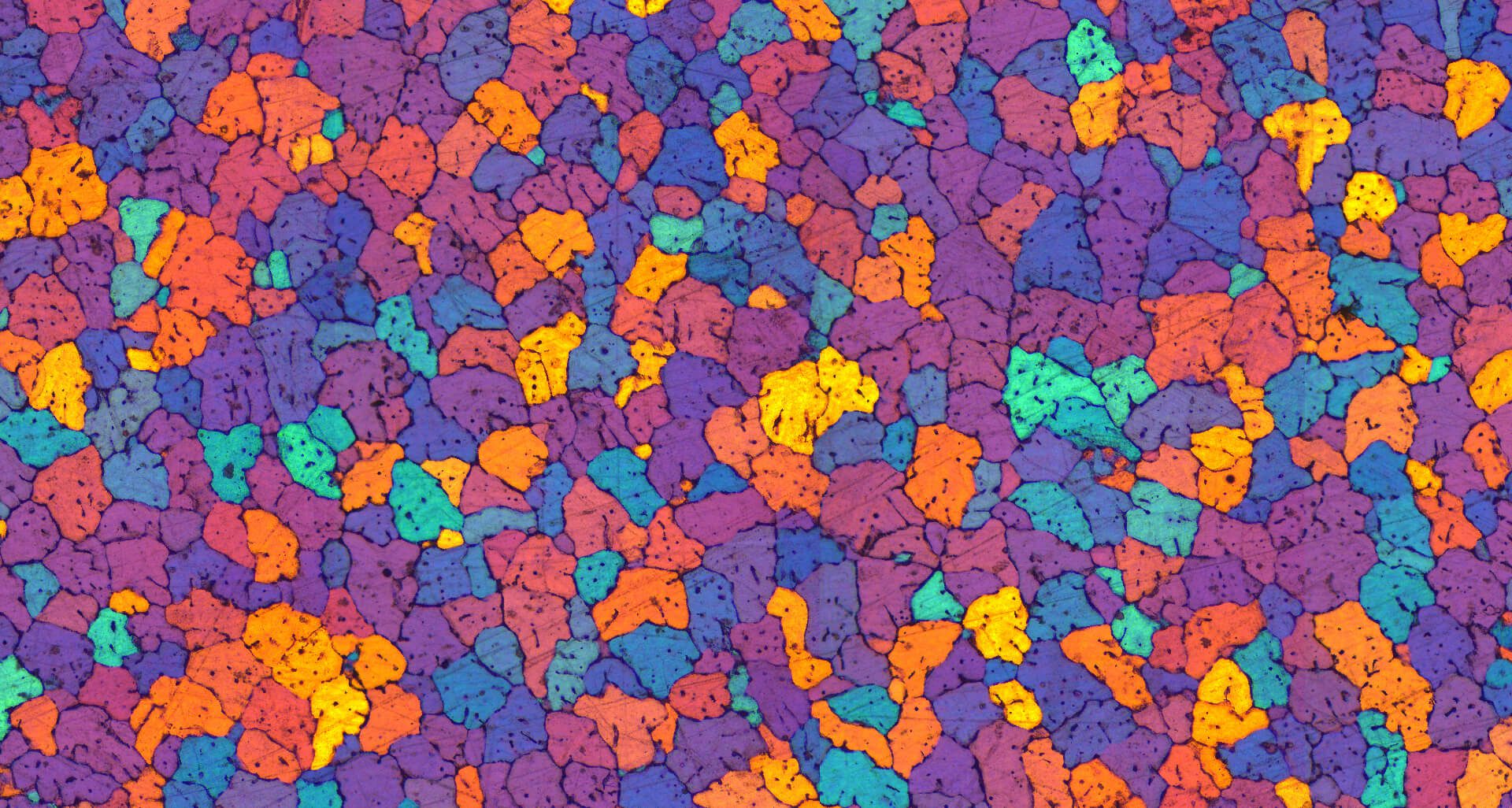 Automated Image Analysis System | Solutions | Microscopy